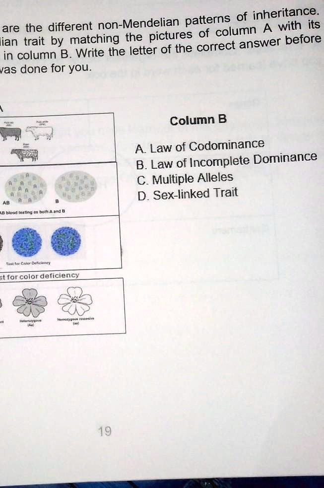 are the different non-Mendelian patterns of inheritance. ian trait by ...