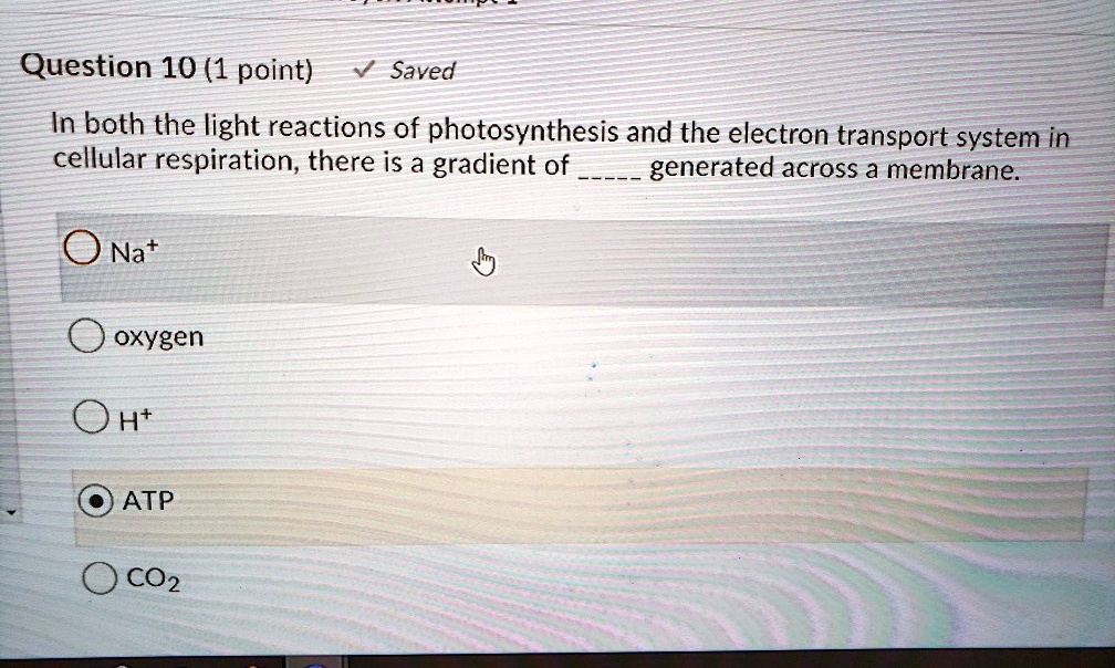 SOLVED: Question 10 (1 point) Saved In both the light reactions of ... SOLVED: Question 10 (1 point) Saved In both the light reactions of ...