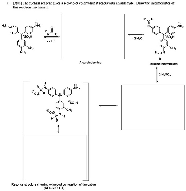 Ipis| The fuchsin reagent gives a red-violet color when it reacts with ...