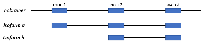 SOLVED: nobrainer Isoform a Isoform b