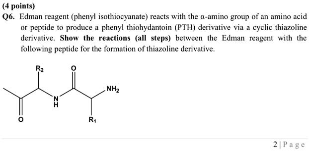 points q6 edman reagent phenyl isothiocyanate reacts with the amino ...