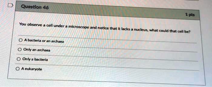 You observe a cell under a microscope and notice that it lacks a nucleus. What could that cell ...