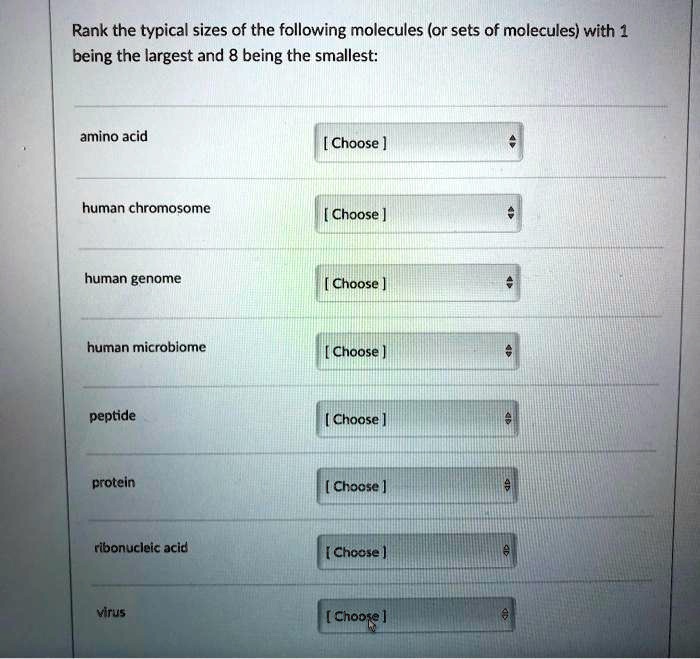 Rank the typical sizes of the following molecules (or sets of molecules ...