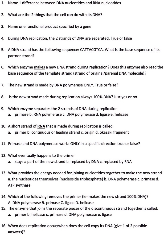 name 1 difference between dna nucleotides and rna nucleotides what are ...