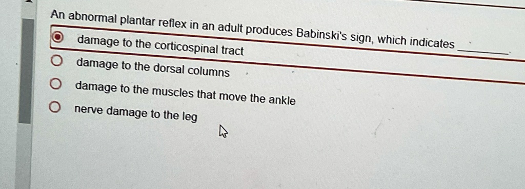 an abnormal plantar reflex in an adult produces babinskis sign which ...
