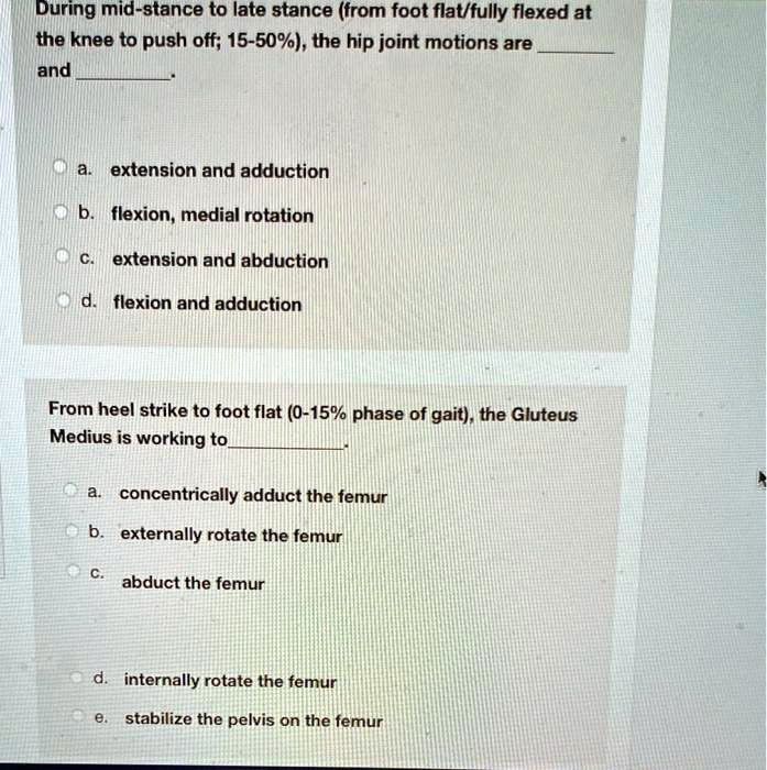 VIDEO solution: During mid-stance to late stance (from foot flat/fully ...