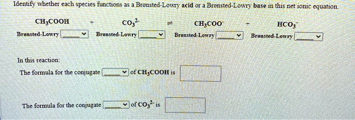 SOLVED: Identify whether each species functions 3s Bronsted Lowry acid ...