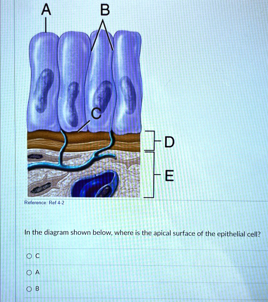 [GET ANSWER] A B Reference: Ref 4-2 D E In the diagram shown below ...
