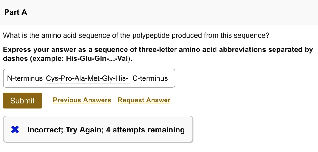 SOLVED: What is the amino acid sequence of the polypeptide produced ...