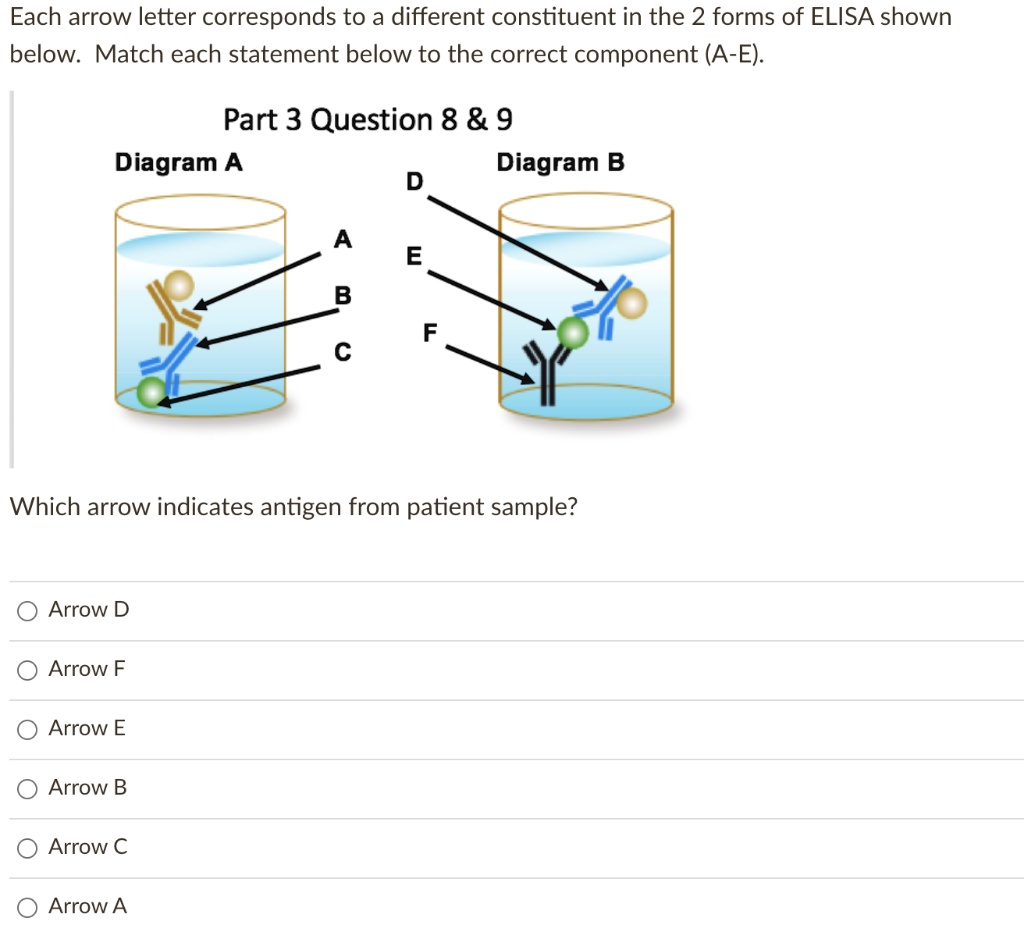 SOLVED: Each arrow letter corresponds to a different constituent in the ...