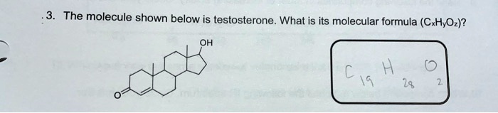 SOLVED: The molecule shown below is testosterone What is its molecular ...