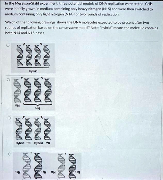 SOLVED: In the Meselson-Stahl experiment, three potential models of DNA ...