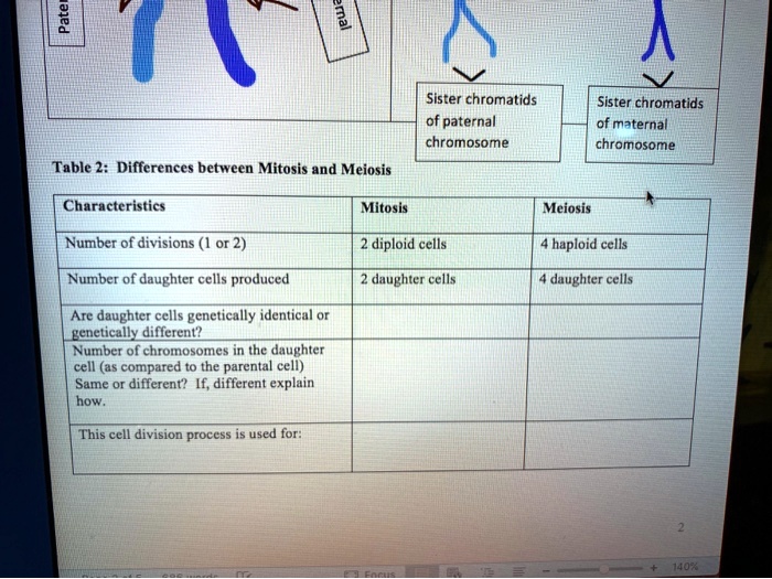 SOLVED: Sister chromatids of paternal chromosome Sister chromatids of ...