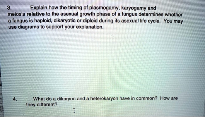 explain how the timing of plasmogamy karyogamy and meiosis relative to ...