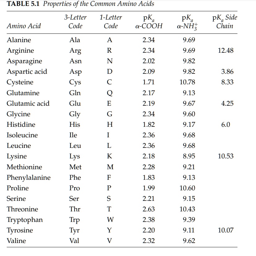 SOLVED: Based on the information in Table 5.1, are there any amino ...