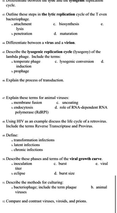 SOLVED: Outline these steps in the lytic replication cycle of the T-even bacteriophage ...