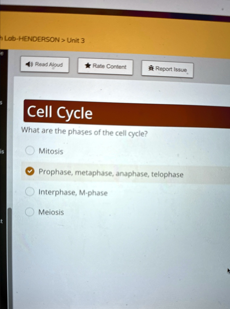 Cell Cycle What are the phases of the cell cycle? Mitosis ? Prophase ...