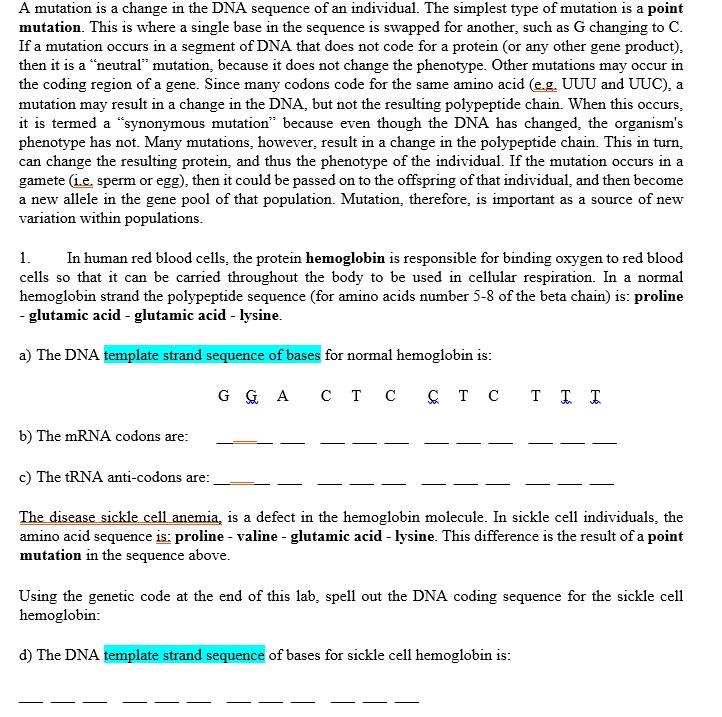 a mutation is change in the dna sequence of an individual the simplest ...
