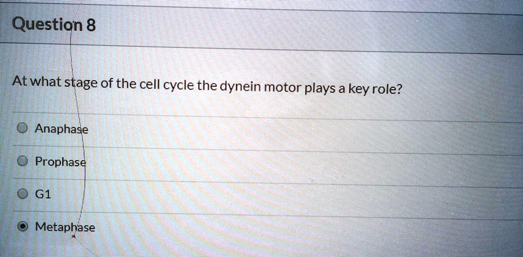 SOLVED: Question 8 Atwhat stage of the cell cycle the dynein motor ... SOLVED: Question 8 Atwhat stage of the cell cycle the dynein motor ...