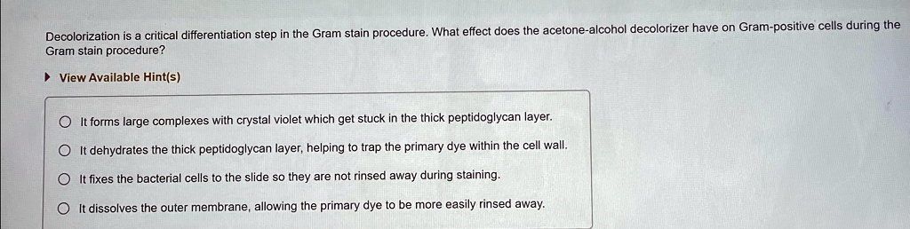 Decolorization is a critical differentiation step in the Gram stain ...