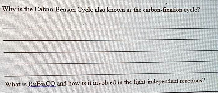 SOLVED: Why is the Calvin-Benson Cycle also known as the carbon ...