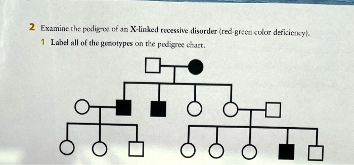 SOLVED: 2 Examine the pedigree of an X-linked recessive disorder (red ...