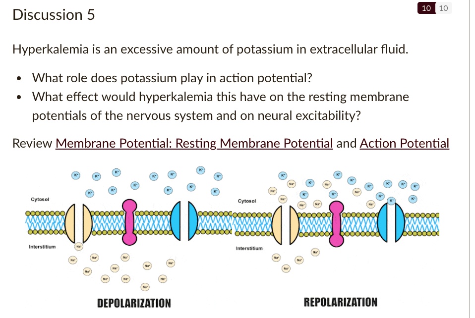 Discussion 5 Hyperkalemia is an excessive amount of potassium in ...