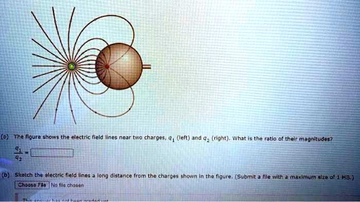 The figure shows the electric field lines near two charges (left) and ...