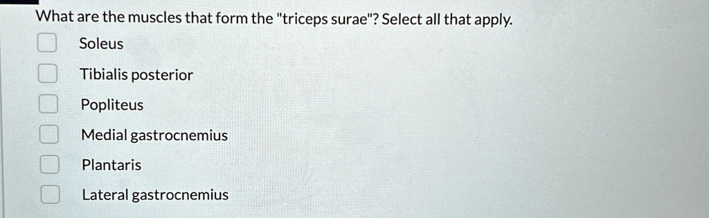 What are the muscles that form the "triceps surae"? Select all that ...