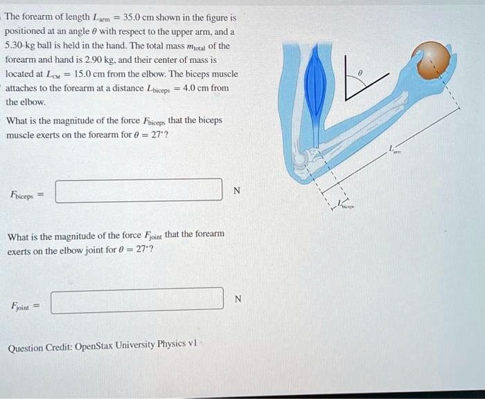 SOLVED: The forearm of length Larm=35.0 cm shown in the figure is ...