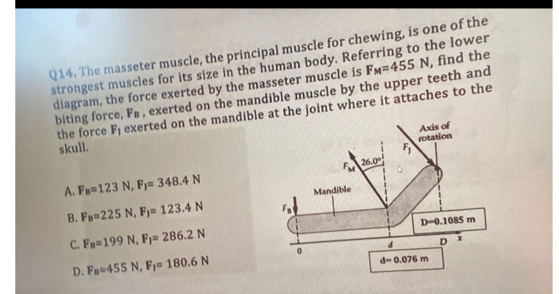 Q14. The masseter muscle, the principal muscle for chewing, is one of ...