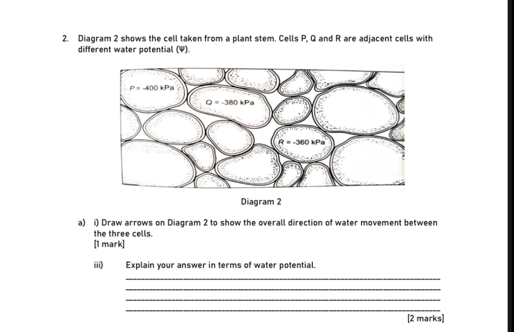 2 diagram 2 shows the cell taken from a plant stem cells p q and r are ...