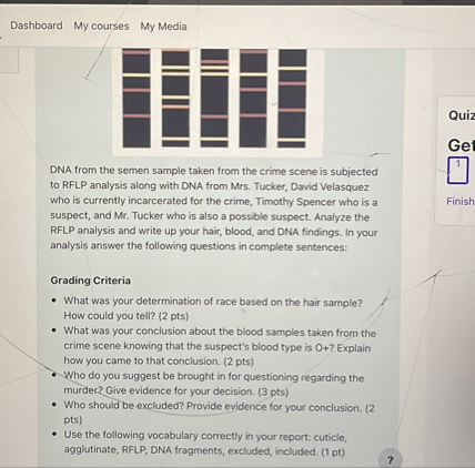 Dashboard My courses My Media DNA from the semen sample taken from the crime scene is subjected ...