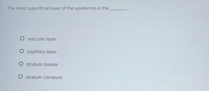 the most superficial layer of the epidermis is the qquad reticular ...