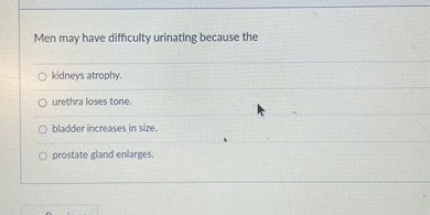 SOLVED: Men may have difficulty urinating because the kidneys atrophy ...