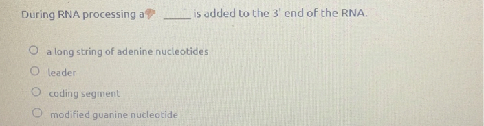 SOLVED: During RNA processing a is added to the 3^' end of the RNA. a ...
