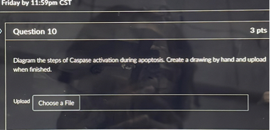 SOLVED: Friday by 11:59pm CST Question 10 3 pts Diagram the steps of ...
