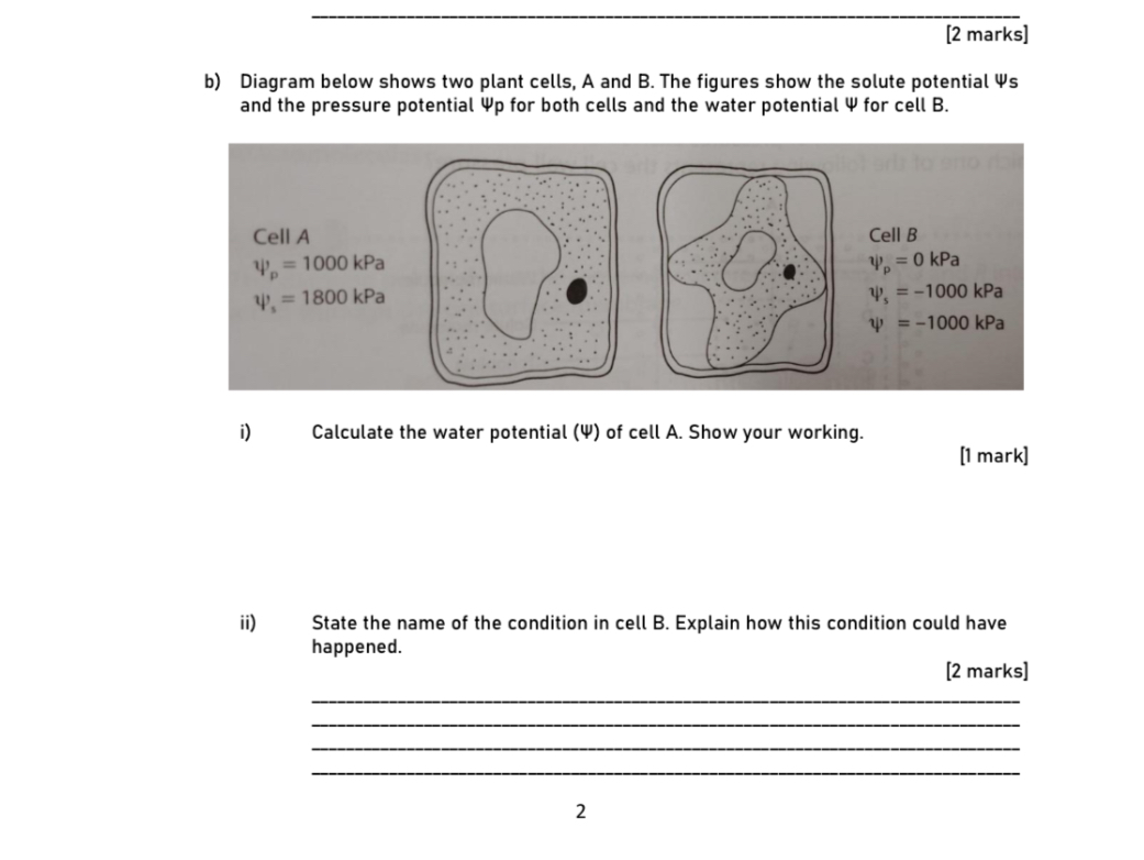 [2 marks] b) Diagram below shows two plant cells, A and B . The figures ...