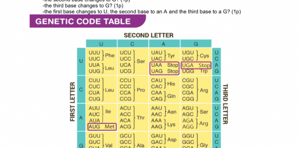 -the third base changes to G? (1p) -the first base changes to U, the ...