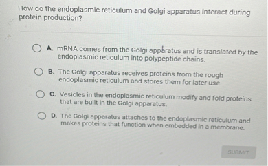 SOLVED: How do the endoplasmic reticulum and Golgi apparatus interact ...