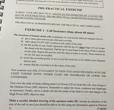 PRE-PRACTICAL EXERCISE SUBMIT YOUR PRE-PRACTICAL ONLNE ON RUCONVECTED ...