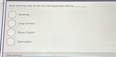 SOLVED: Most bacteria cells divide into two equal new cells by Budding Snap division Binary ...