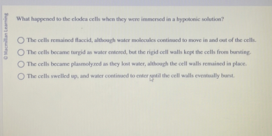 SOLVED: What happenod to the elodea cells when they were immerned in a ...
