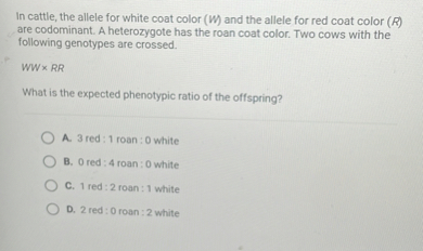 SOLVED: In cattle, the allele for white coat color ( W ) and the allele for red coat color (R ...