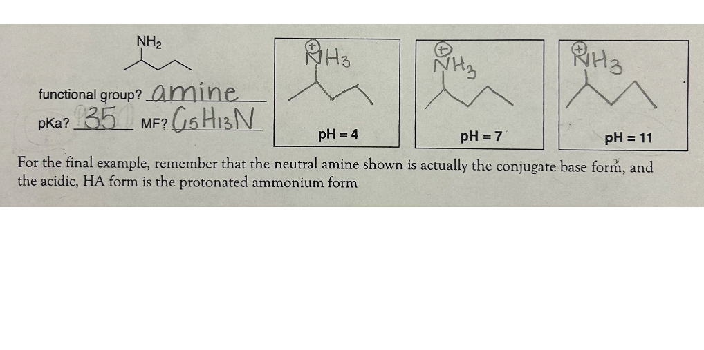 SOLVED: functional group? amine ???? 35 mF? C5H13 N For the final ...