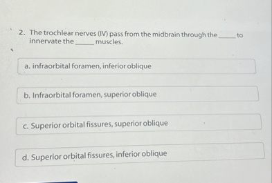 2. The trochlear nerves (IV) pass from the midbrain through the to ...