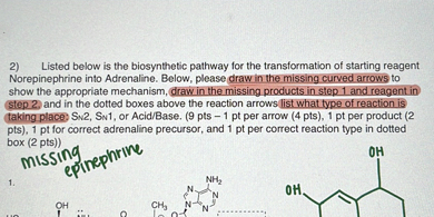SOLVED: 2) Listed below is the biosynthetic pathway for the ...