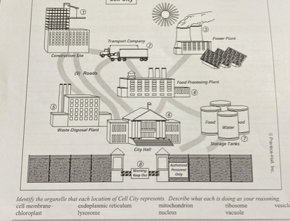 SOLVED: (3) Roads (5)/(7) (2)/(2) (8)/(2) (2)/(5) Wentify the anganelle ...