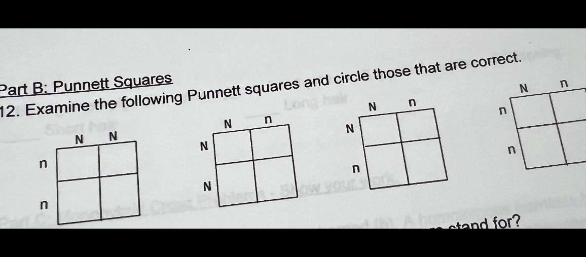 part b punnett squares 12 examine the following punnett squares and ...