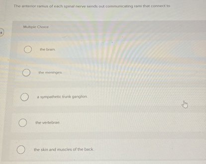 The anterior ramus of each spinal nerve sends out communicating rami ...